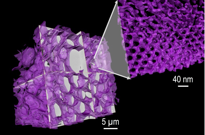 Porous Nanostructures Inspired in Biological Systems – LNLS
